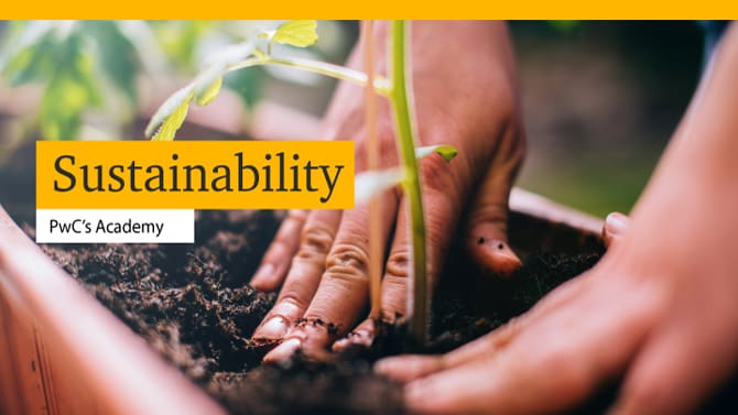 Sustainability | Portfólios | PwC's Academy