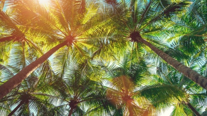 Who we are: PwC Bermuda