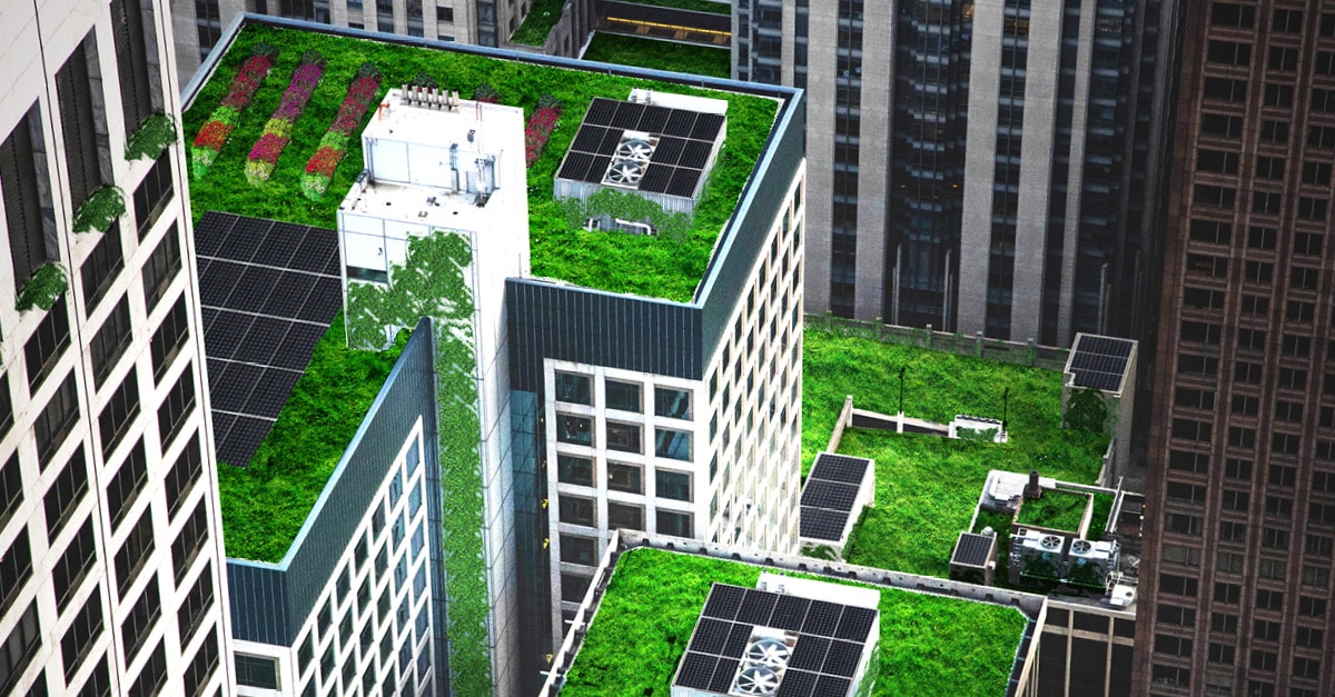 Embracing ESG and defining purpose to create value and attract ...