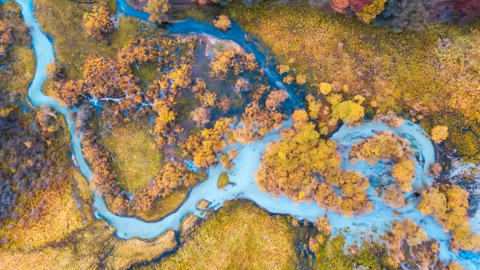 Sustainability in Asia Pacific