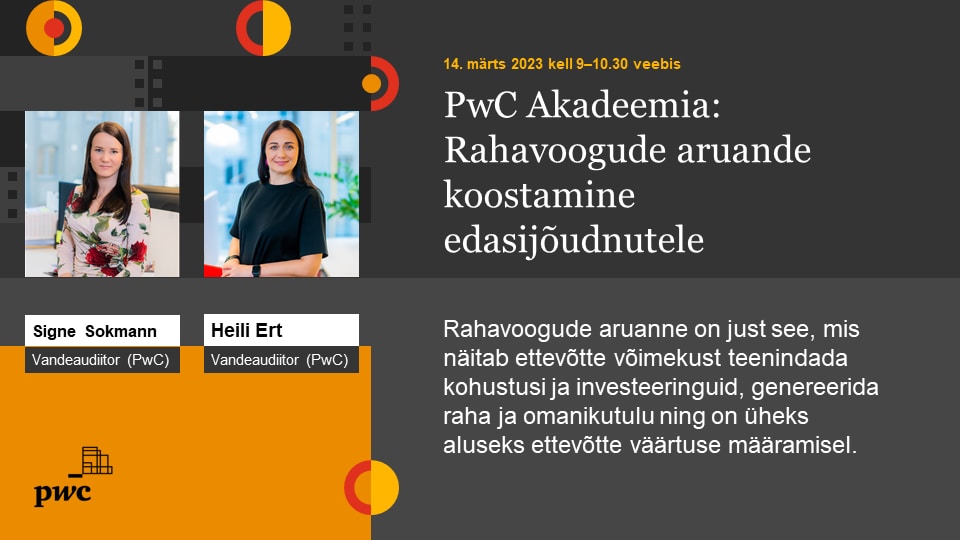 Rahavoogude aruande koostamine edasijõudnutele koos praktiliste näidetega