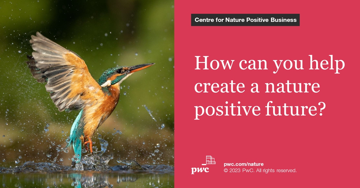 PwC boosts global nature and biodiversity capabilities with new Centre ...