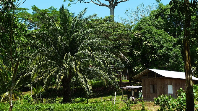 Helping the oldest biological research station in Peru, protect and ...