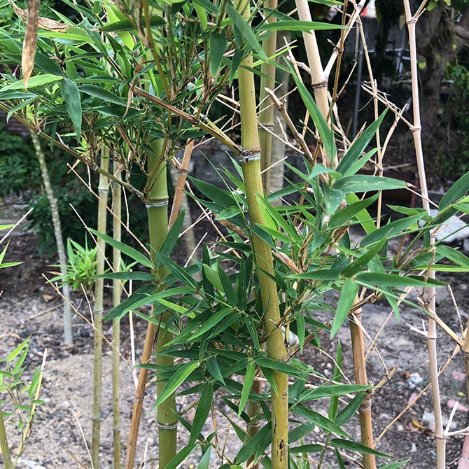 PwC China supports ‘Project prosperity’ a nature-based solution to ...