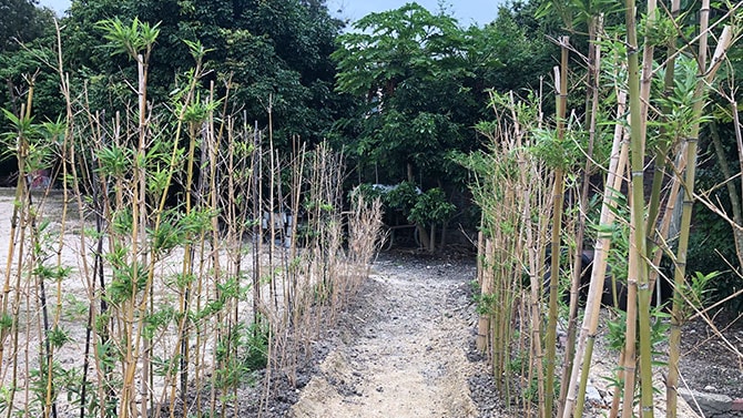 PwC China supports ‘Project prosperity’ a nature-based solution to ...