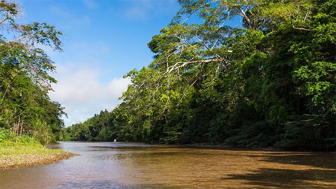 Helping the oldest biological research station in Peru, protect and ...