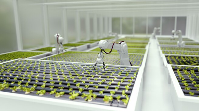 Climate and sustainability | PwC