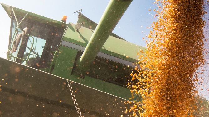 Reconfiguring the global food system | PwC