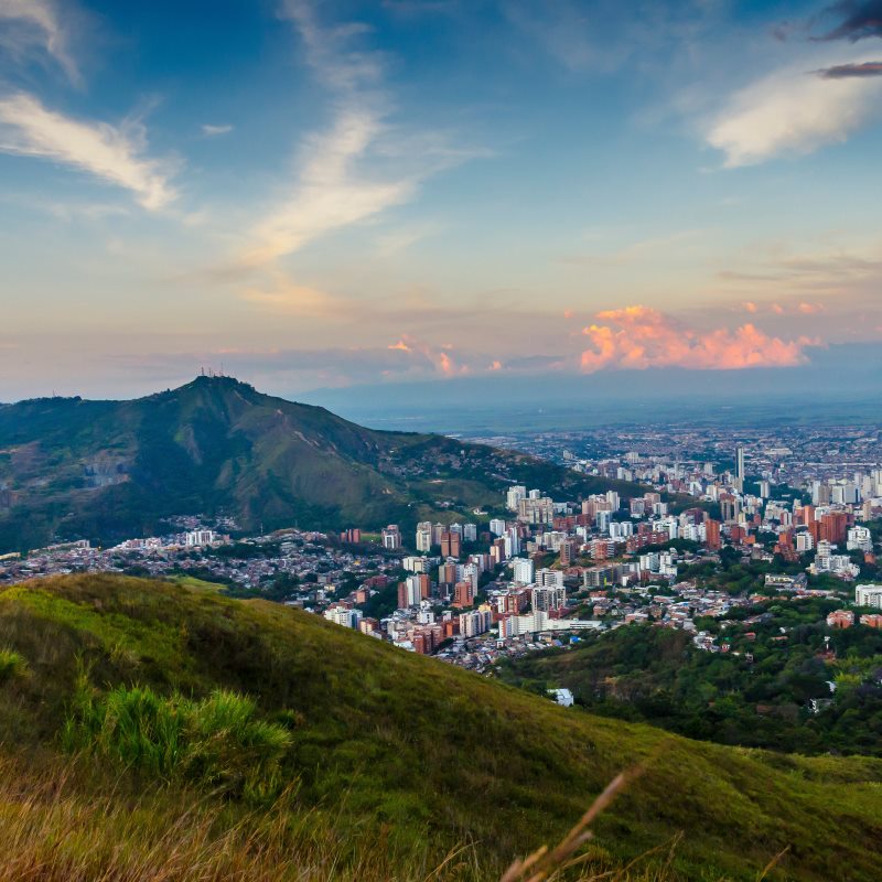 Nature & biodiversity: Creating nature positivity | PwC