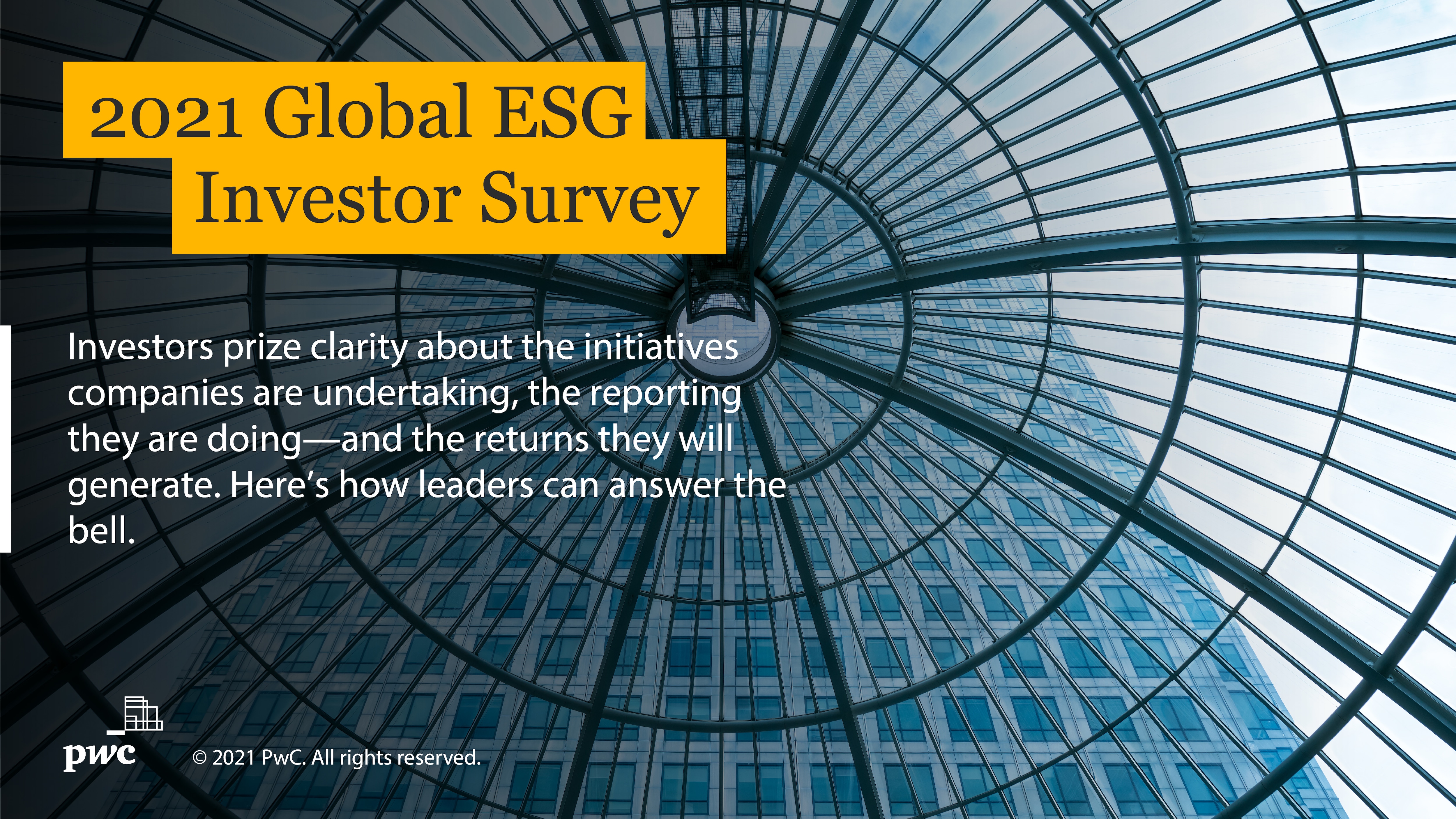 PwC: ‘Only 29% of investors say current company reporting adequately ...