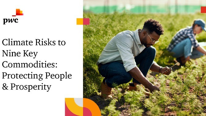 More than 70% of critical minerals key for the net zero energy ...