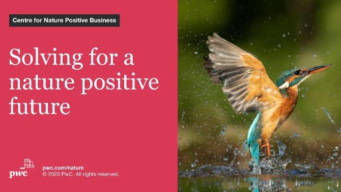 PwC boosts global nature and biodiversity capabilities with new Centre ...