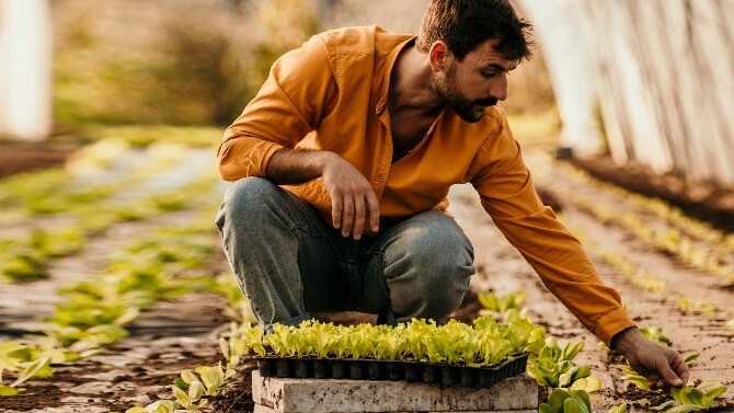 Sustainable capital services | PwC