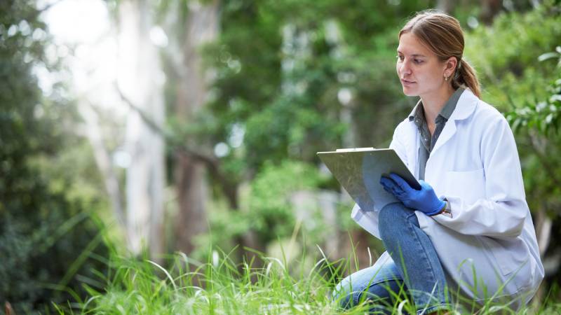 Climate risk, resilience and adaptation services | PwC