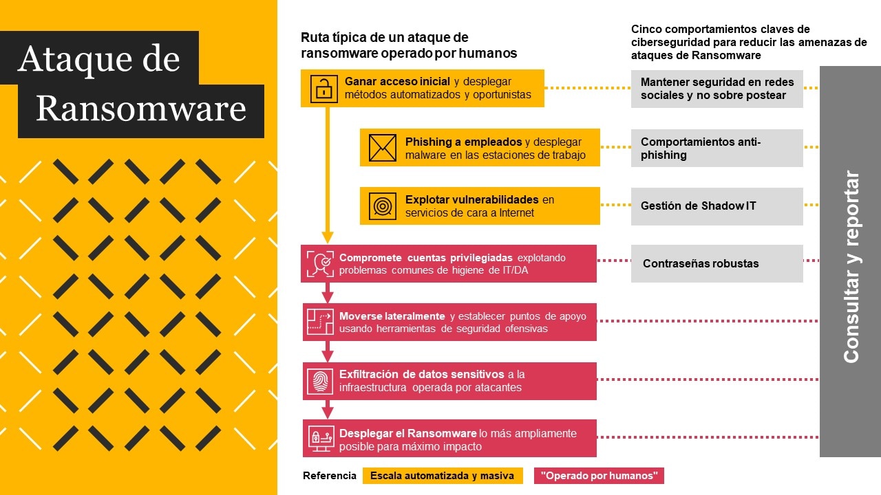 Cinco comportamientos clave de seguridad de los empleados que pueden ...