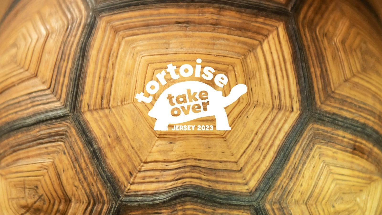 Durrell Tortoise Takeover - PwC Channel Islands