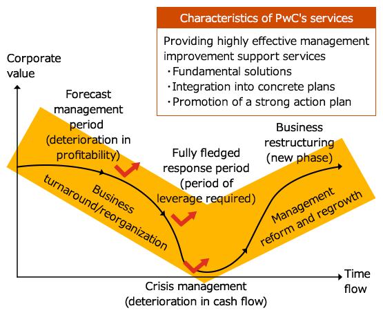 Business Turnaround / Reorganization | PwC Japan Group