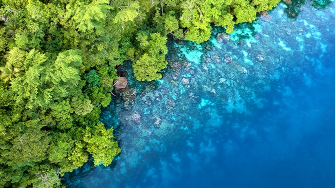 Nature Positive in Pharma - 製薬企業の新たな使命と挑戦 第3回：生物多様性の取り組み状況と目指すべき方向性 ...