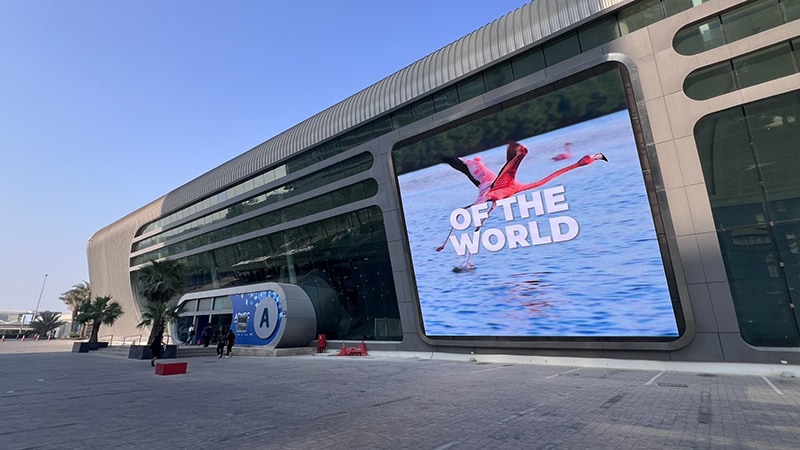 IUCN世界自然保護会議（WCC）参加メンバーによる報告 世界最大の自然保護会議でビジネスと生物多様性について何が語られたか？ | PwC ...