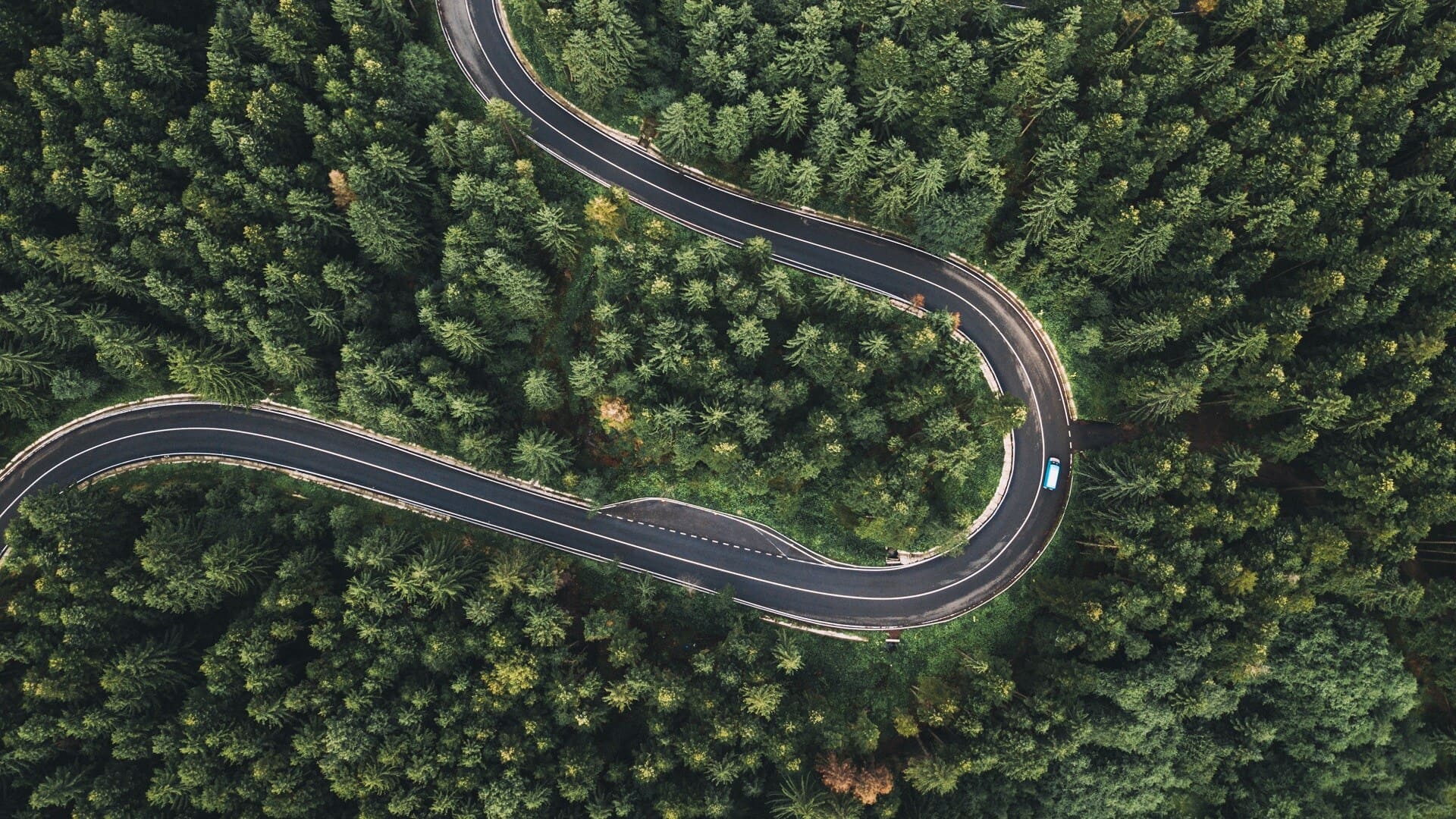 The European Parliament adopts the EU ETS and CBAM | PwC Switzerland