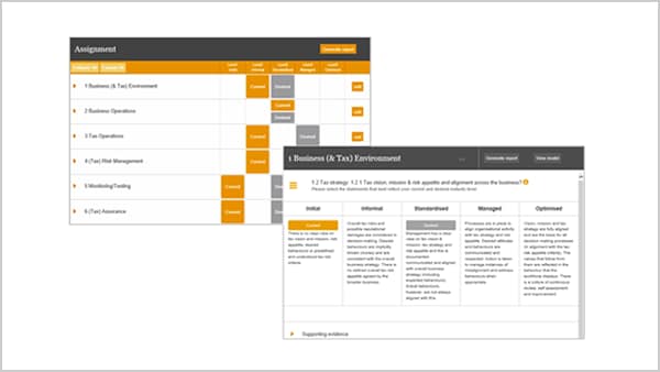 Tax Management Maturity Model | PwC Japanグループ