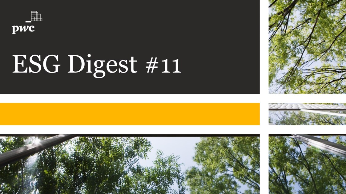 ESG Digest №11