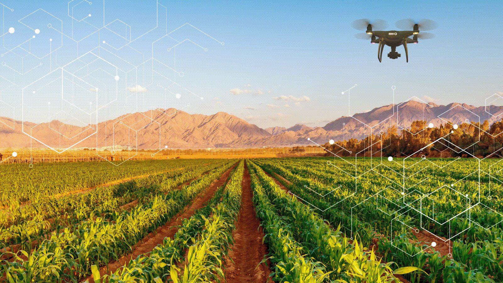 Driving data with purpose: Why digital technology is critical to ESG ...