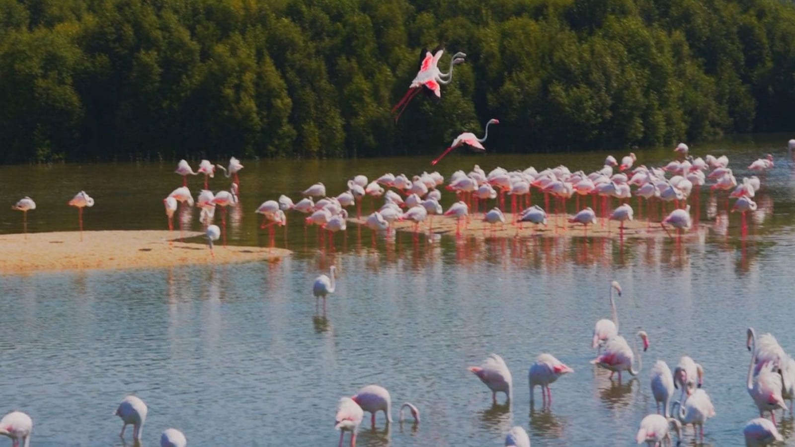 Nature & biodiversity