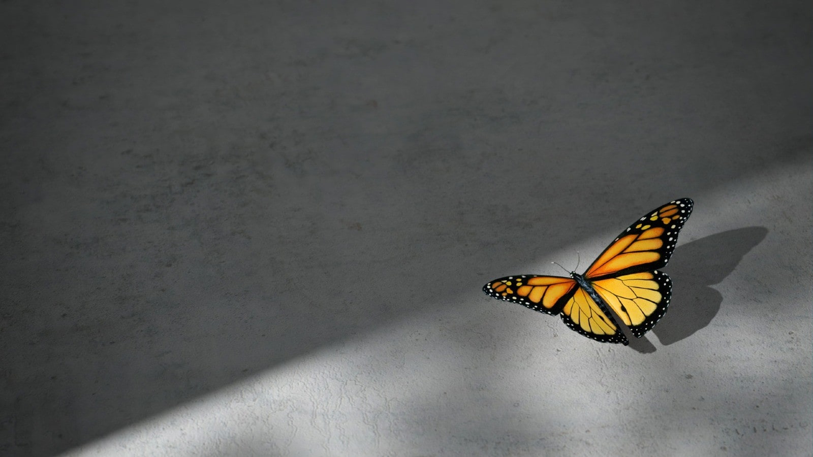 PwC Middle East Crisis and Resilience Survey 2023