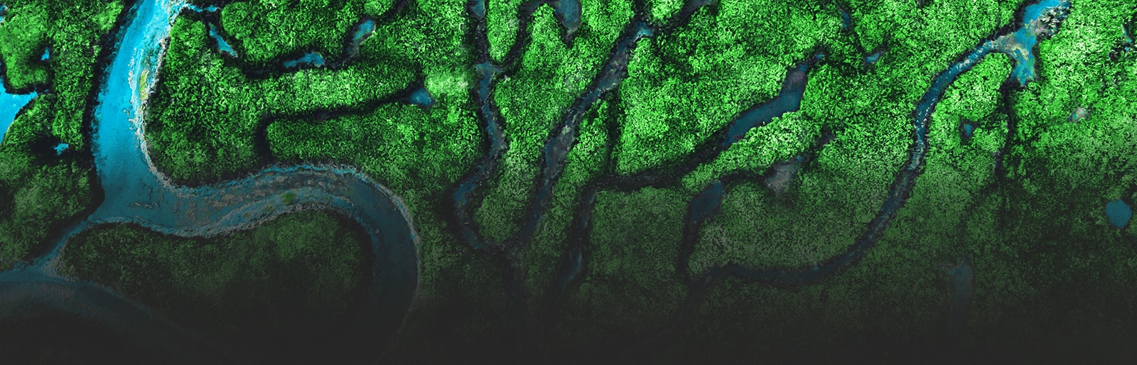 Developing a National Green IT Policy, Strategy and Action Plan | PwC ...