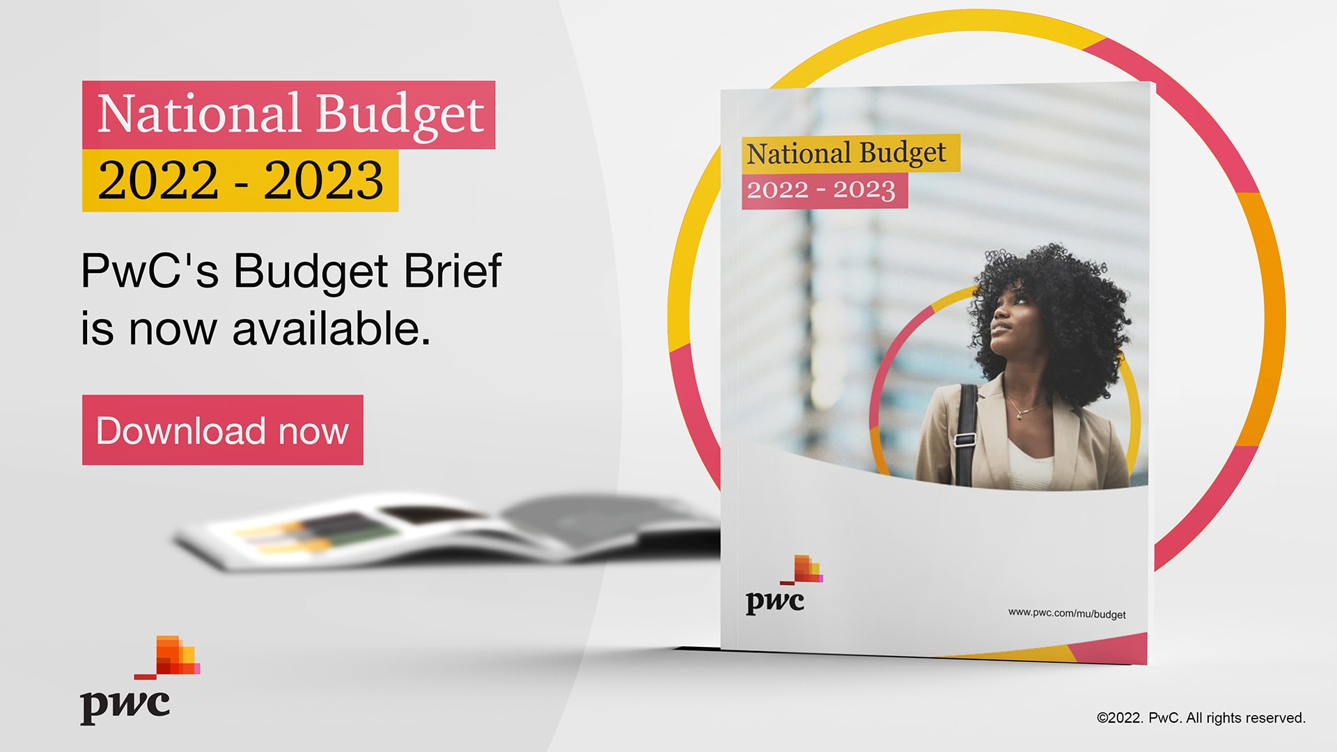 Budget 2022 - 2023 | PwC Mauritius