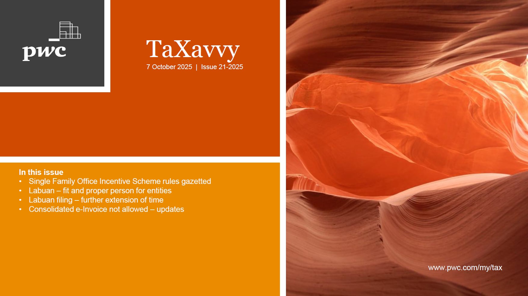 TaXavvy Issue 21/2025