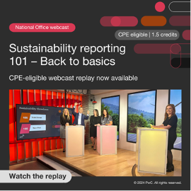 PwC faculty newsletter - December 2024