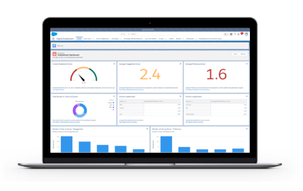 Insights to Enablement: Help Increase your Salesforce Investment: PwC
