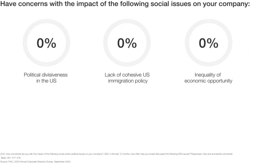 Annual Corporate Directors Survey 2024: PwC